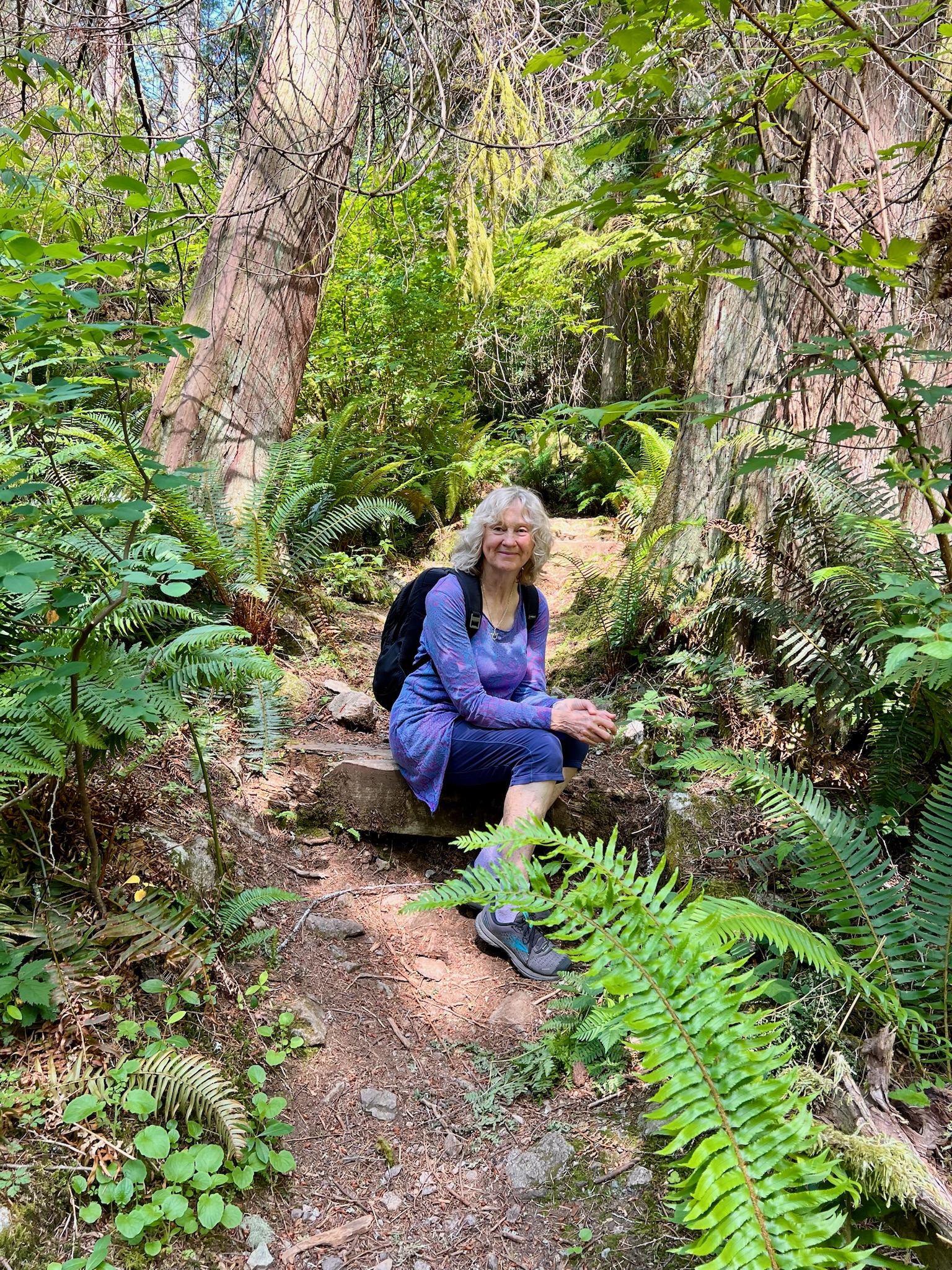 About – Urban Forest Guiding